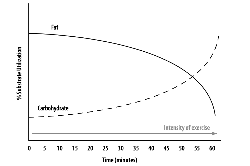 Metabolic Efficiency - Triple Victor